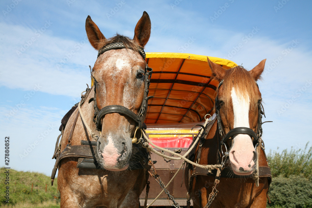 Pferdekutsche2 Stock Photo | Adobe Stock