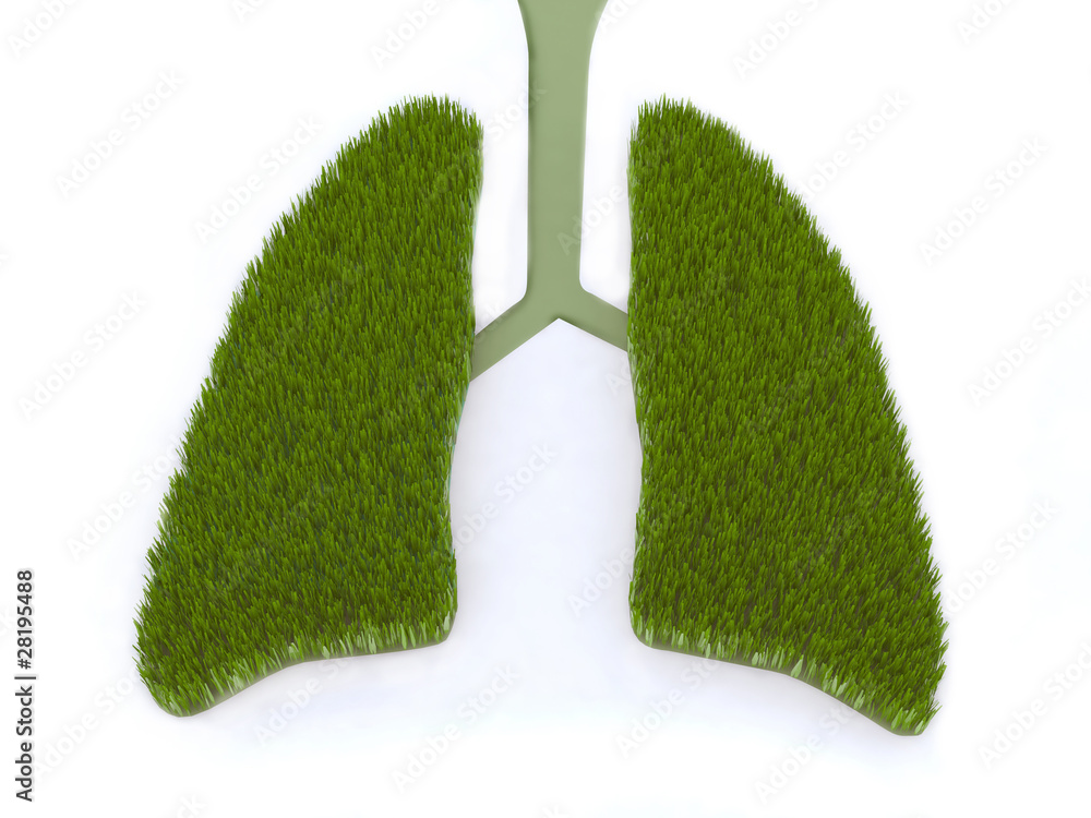 polmoni verdi Stock Illustration | Adobe Stock