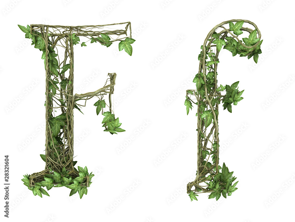 Ivy plant font nature Stock Illustration | Adobe Stock