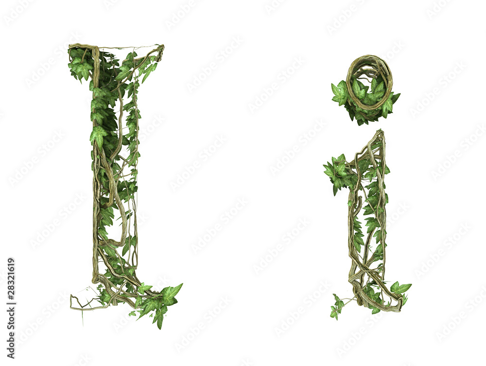 Ivy plant font nature Stock Illustration | Adobe Stock