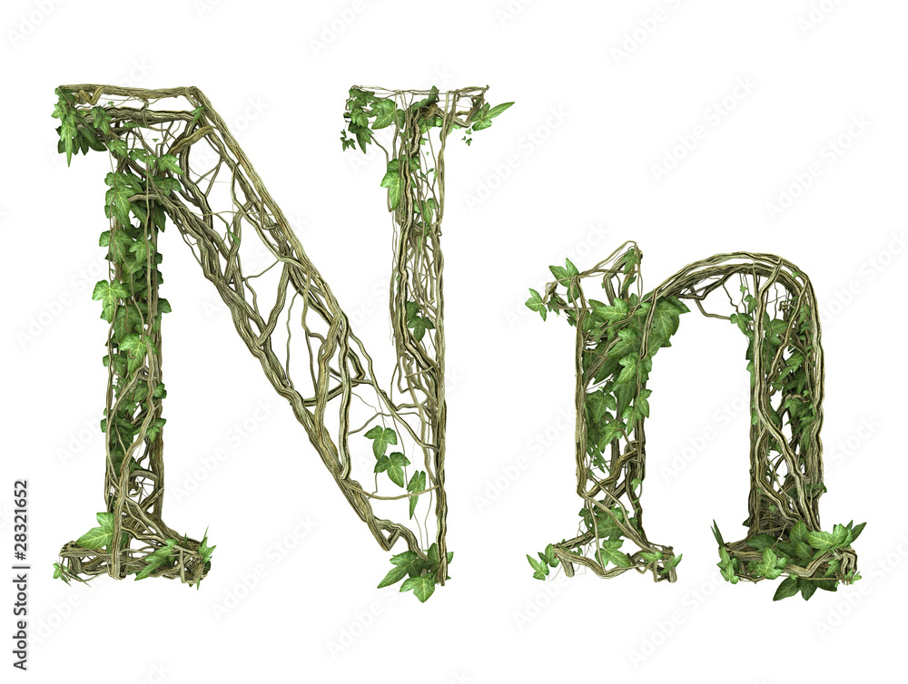 Ivy plant font nature Stock Illustration | Adobe Stock