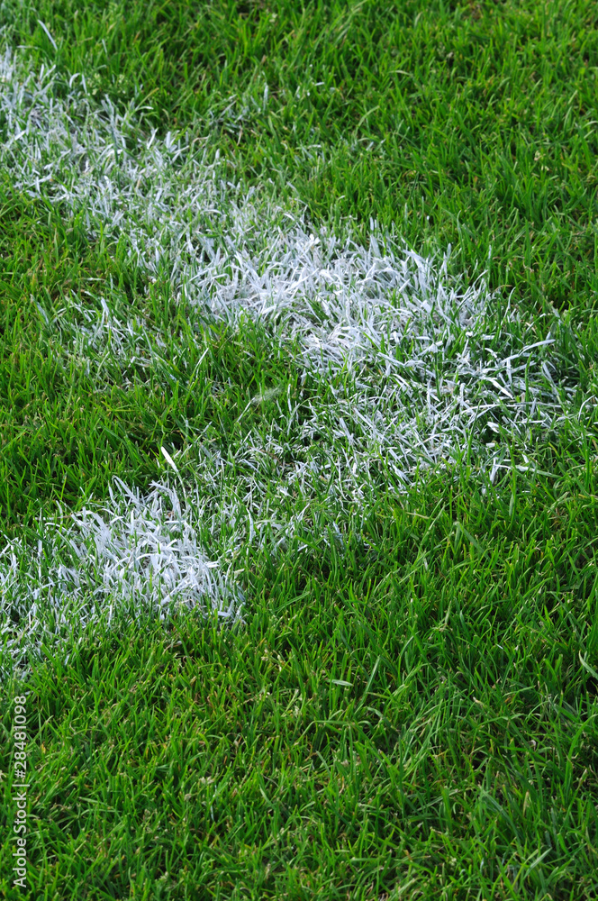 soccer grass edge Stock Photo | Adobe Stock