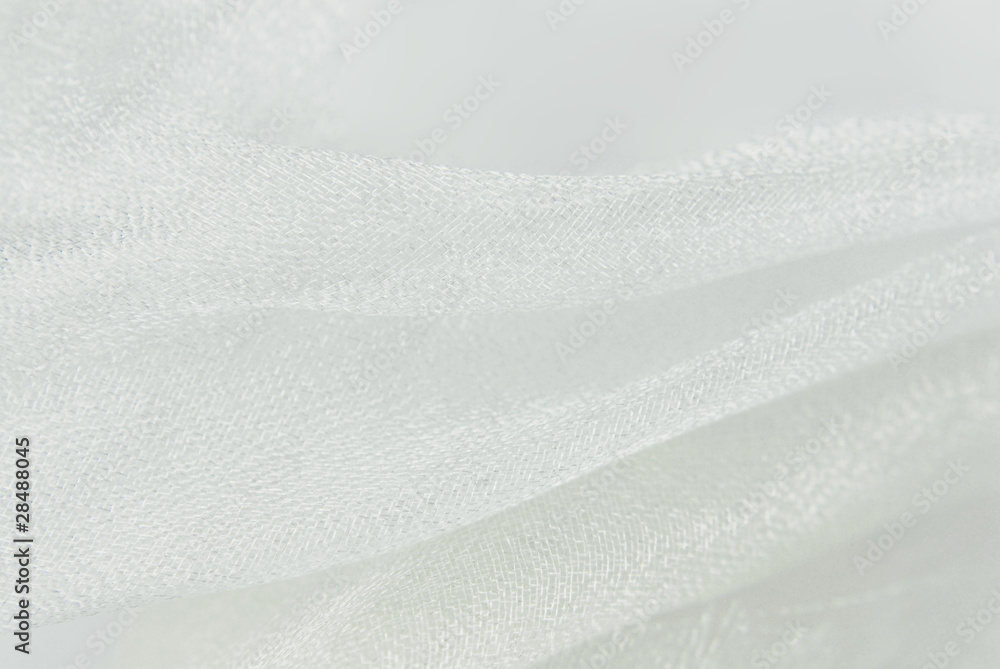 White Organza Fabric
