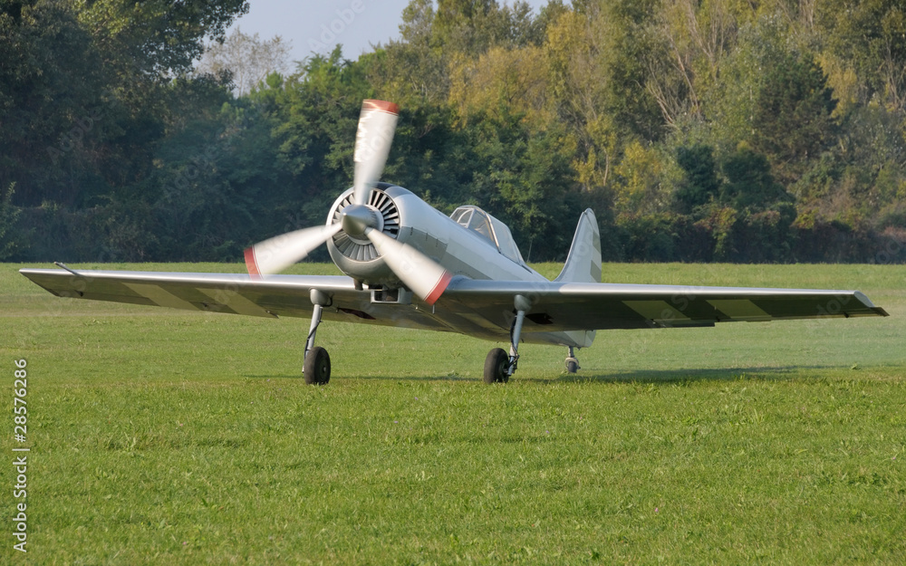 WWII restored fighter: Yakovlev Yak-50 Stock Photo | Adobe Stock