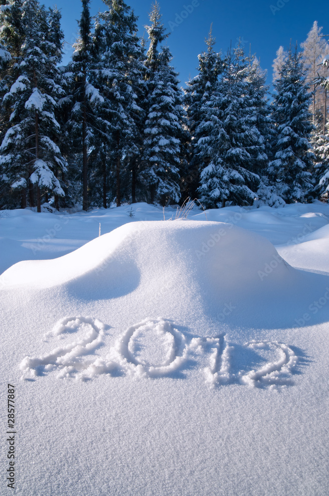 Year 2012 written in Snow in Winter Forest | Uwalls.co.uk