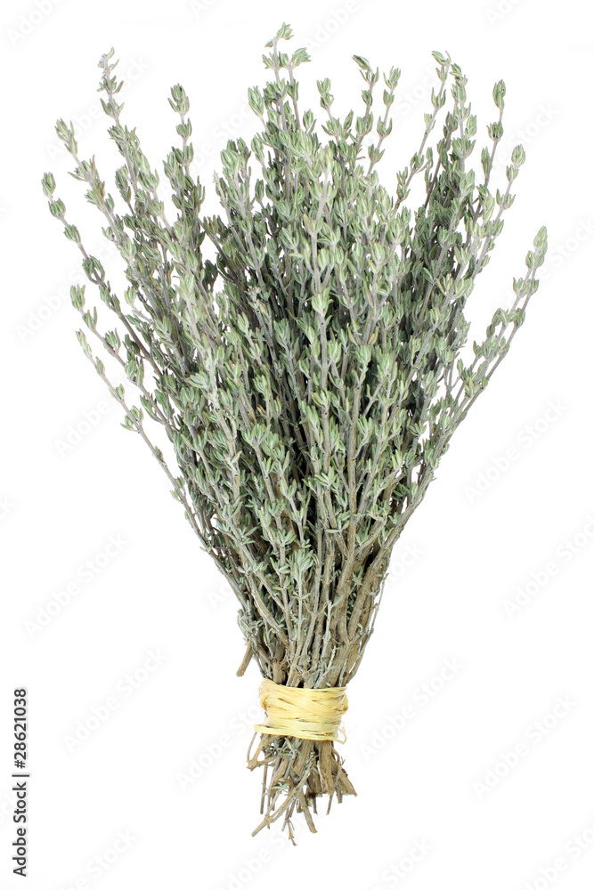 Bouquet de thym Stock Photo | Adobe Stock