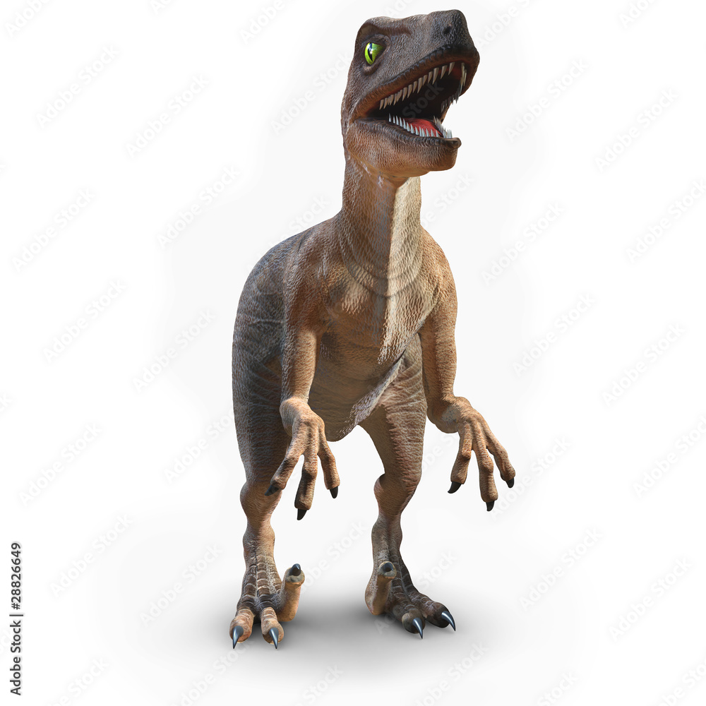 3d Velociraptor front view Stock Illustration | Adobe Stock