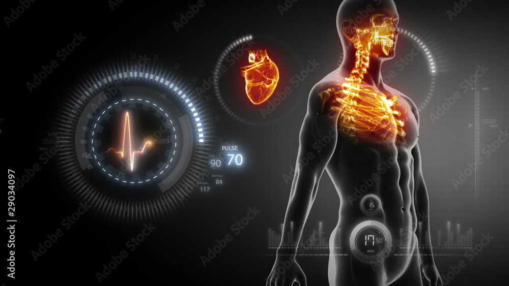 Human heart x-ray scan Stock Video | Adobe Stock