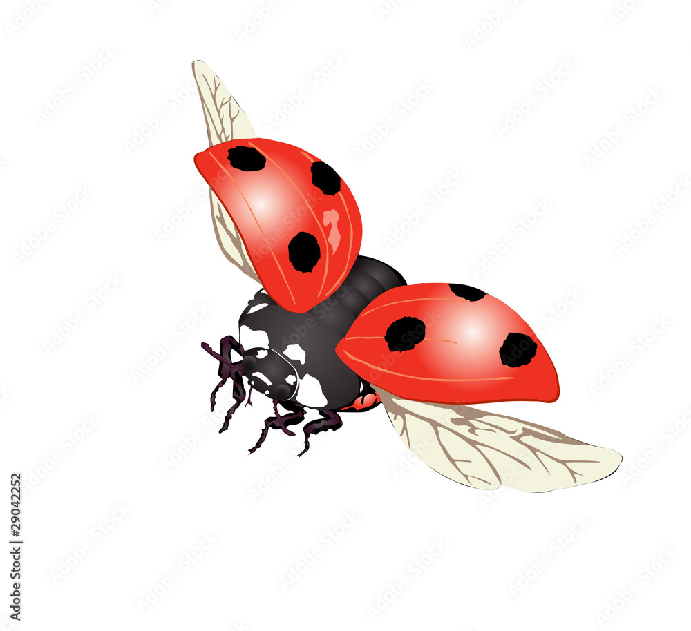 Ladybug Vector Illustration Stock Vector Adobe Stock