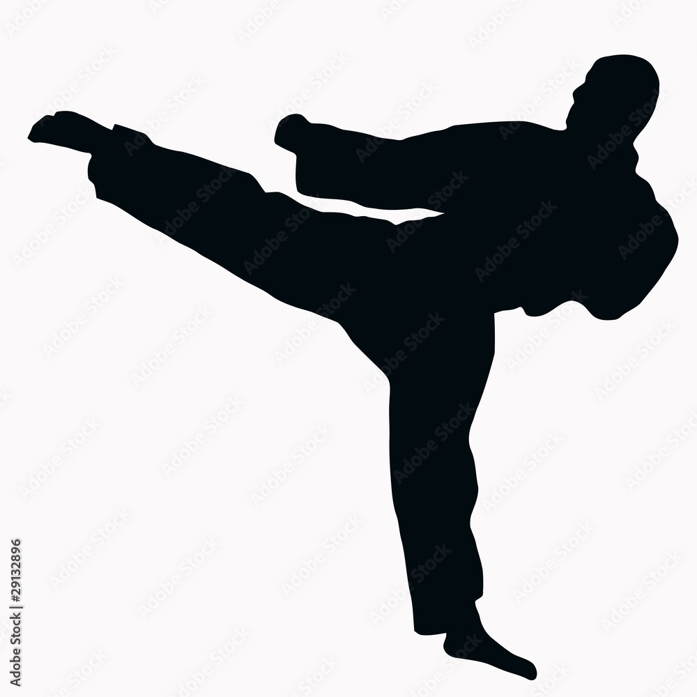 Karate Punch Silhouette