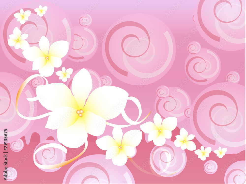 Fancy Pink Backgrounds