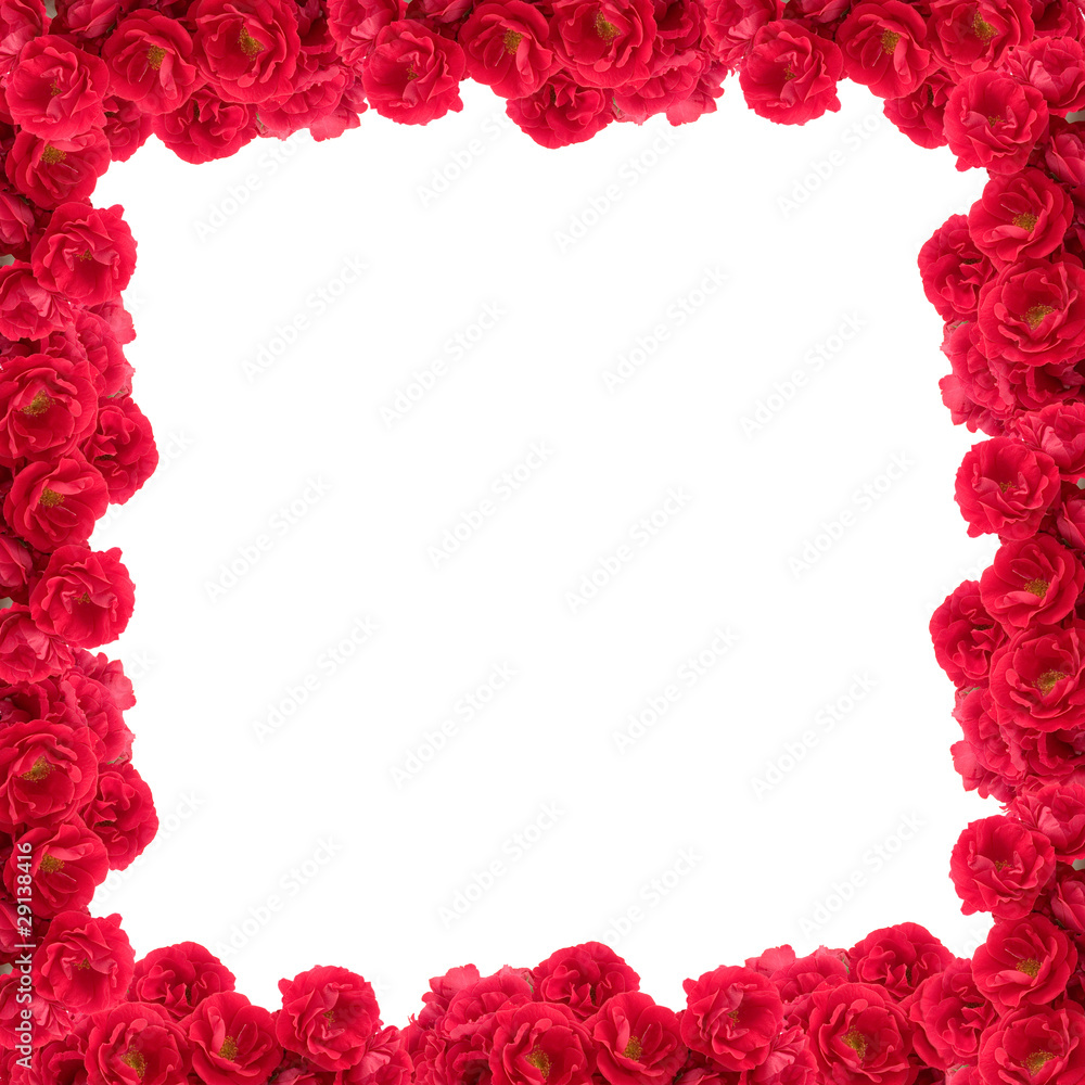 Frame of roses Stock Photo | Adobe Stock