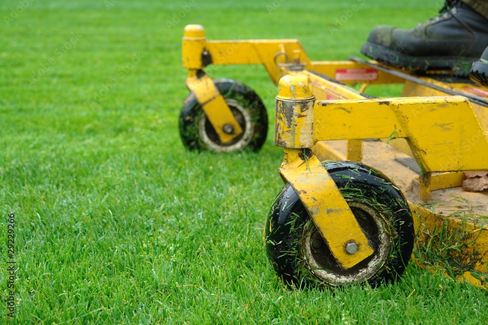 lawn mowing Stock Photo | Adobe Stock