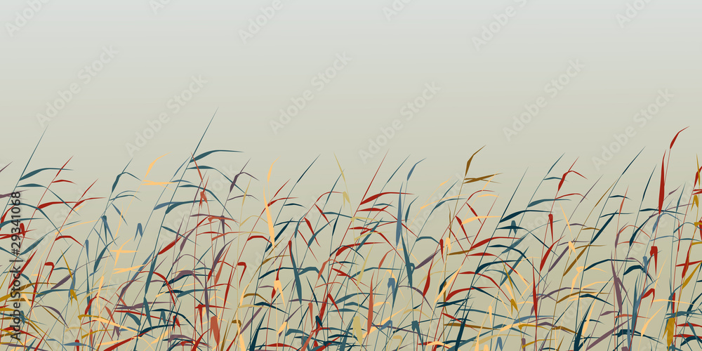 Reed foreground Stock Vector | Adobe Stock