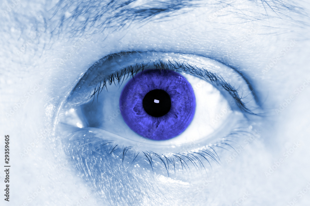 Blue Eye Stock Photo | Adobe Stock