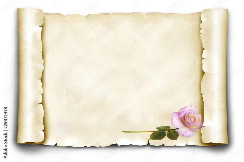 Papierrolle 23 Stock-Illustration | Adobe Stock