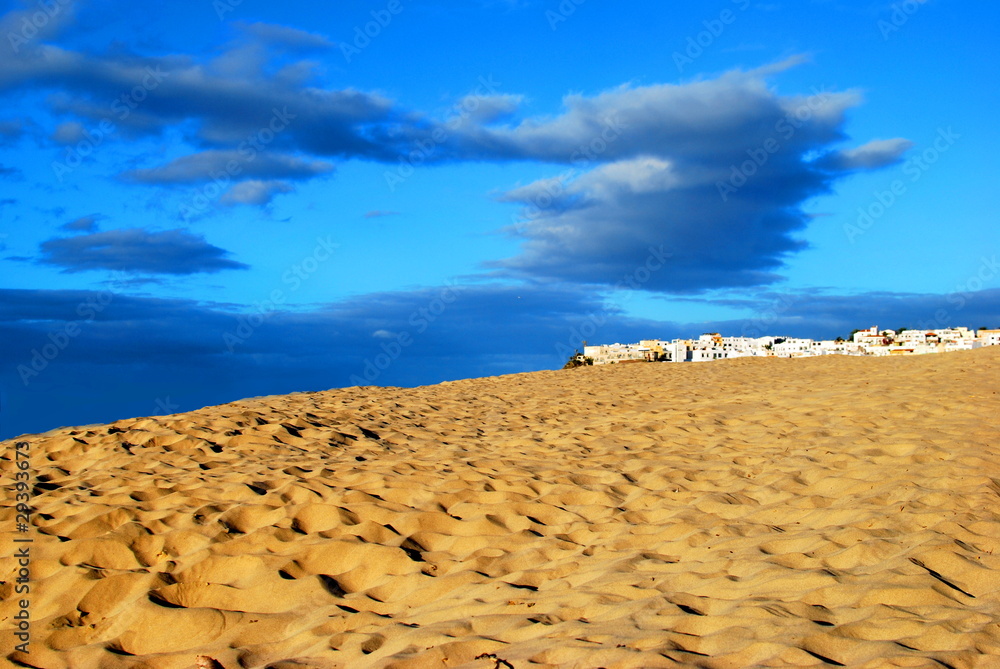 Oasen Stock Photo | Adobe Stock