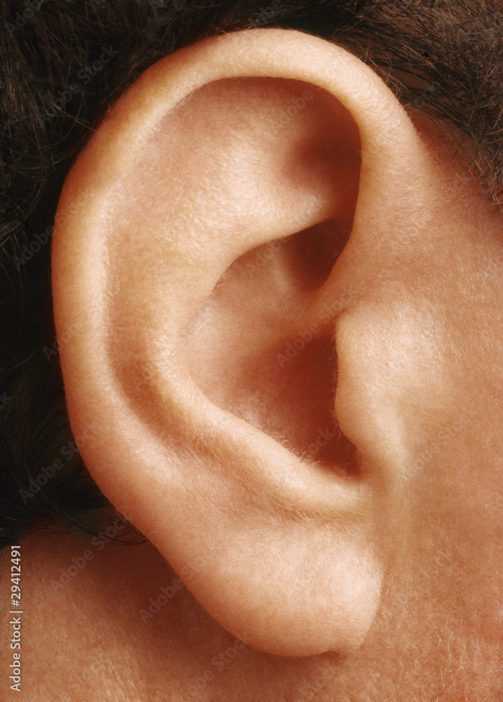 Ohr Stock Photo | Adobe Stock