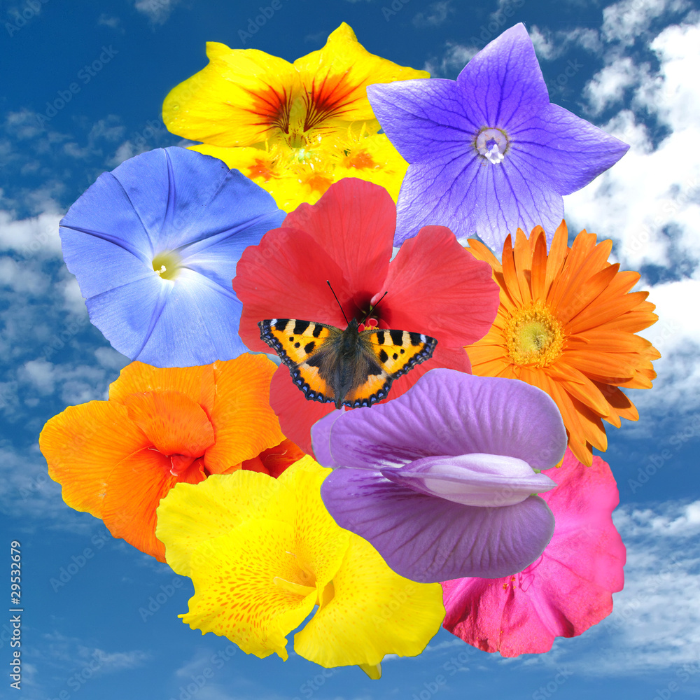 floral background Stock Photo | Adobe Stock