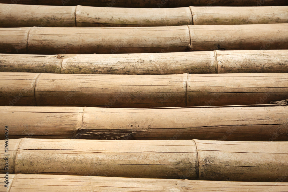 ิbamboo wood, Many of bamboo logs texture. Stock Photo | Adobe Stock