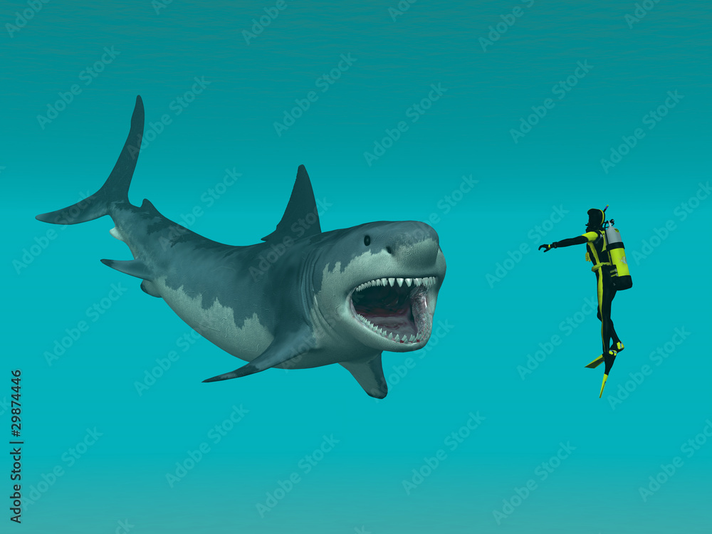 Shark Attack Stock-Illustration | Adobe Stock