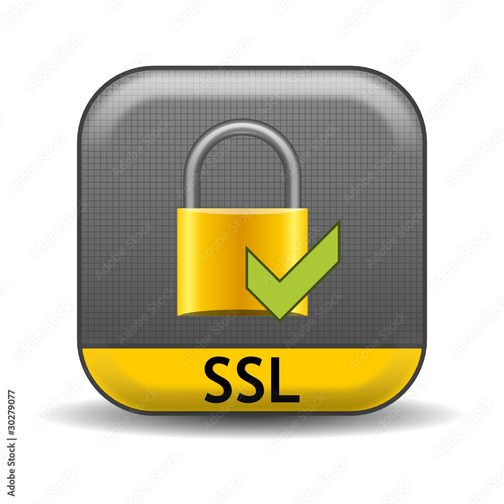 SSL Icon Stock Vector | Adobe Stock