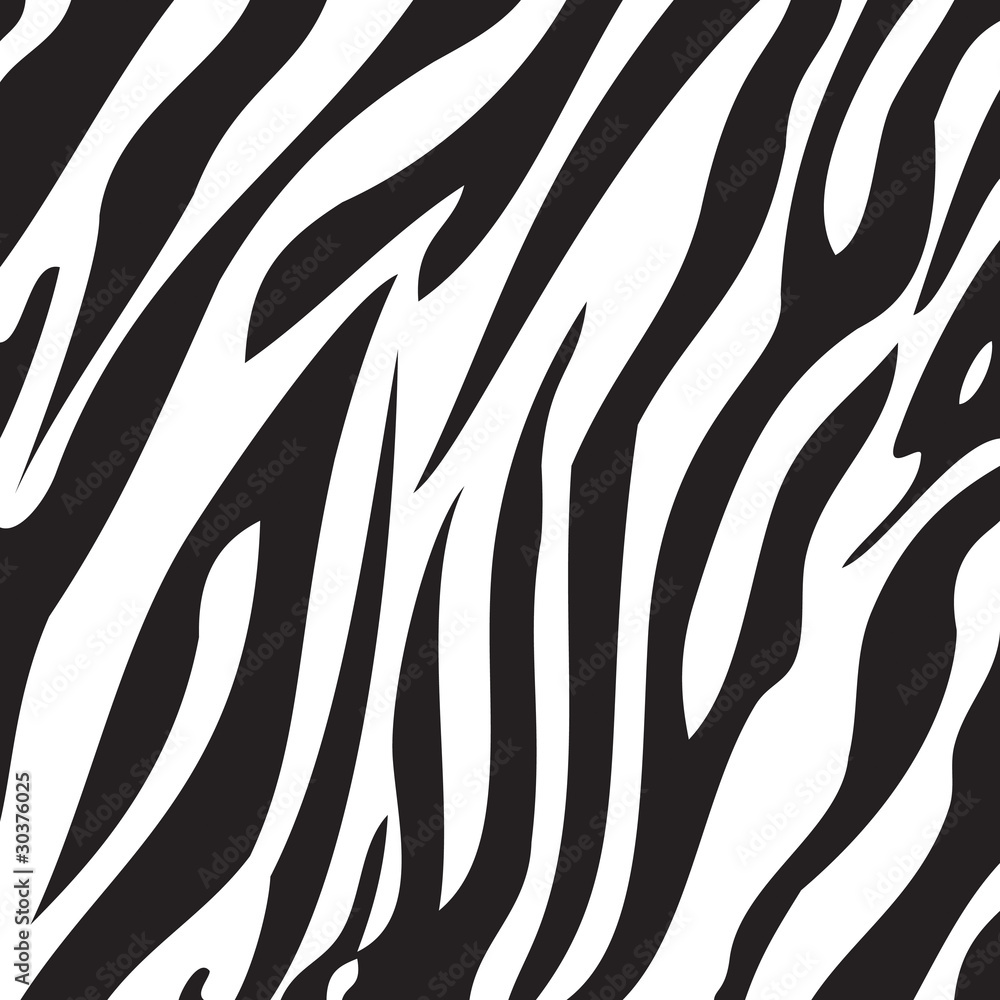 Muster Zebra Stock-Vektorgrafik | Adobe Stock