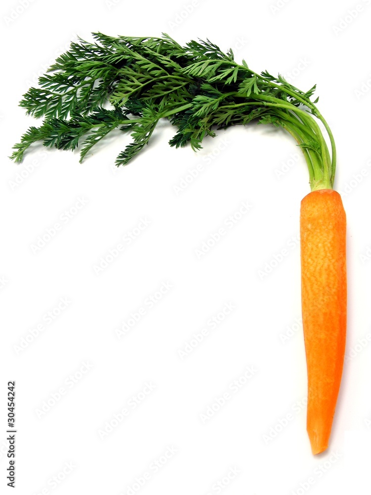 Single Carrot Images