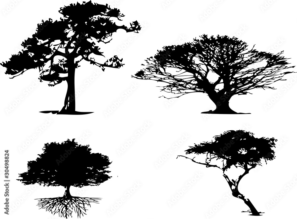 4 different types of tree silhouette Stock Vector | Adobe Stock