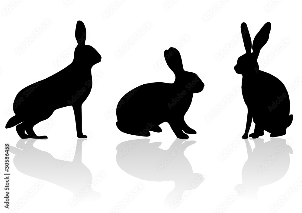 silhouette von hasen Stock Vector | Adobe Stock