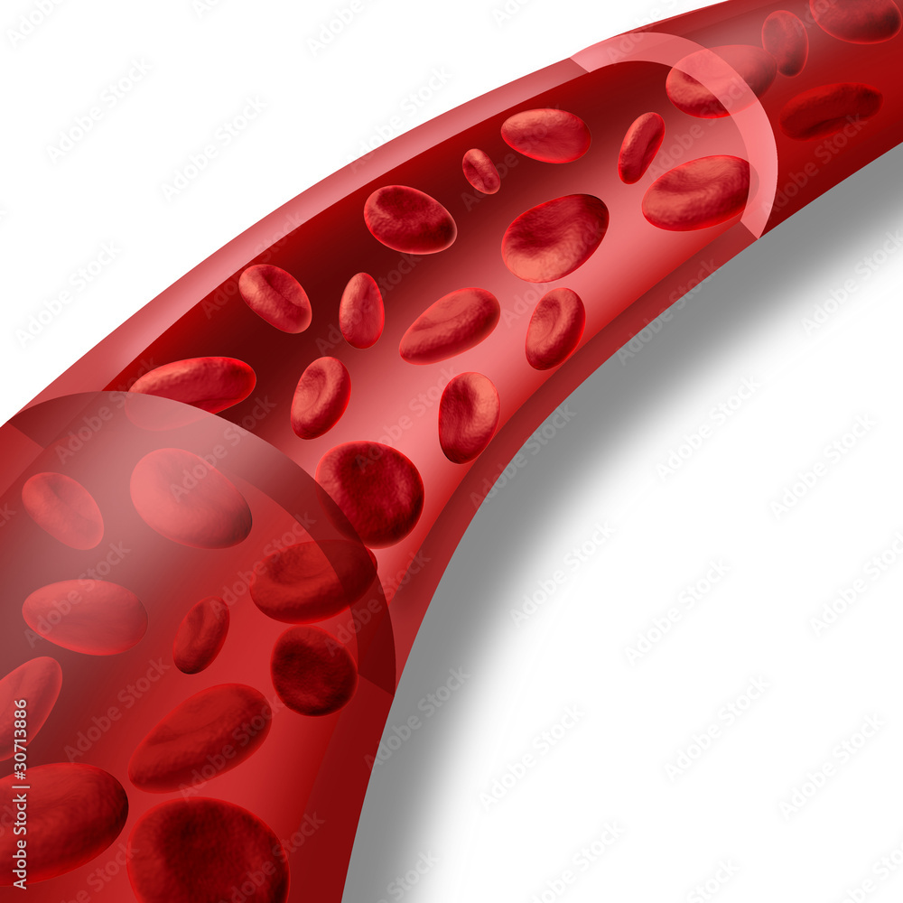 Red blood cells flowing through a vein and artery Stock Illustration ...