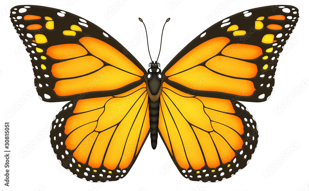 Monarchfalter, Schmetterling, Monarch, Falter Stock Illustration ...
