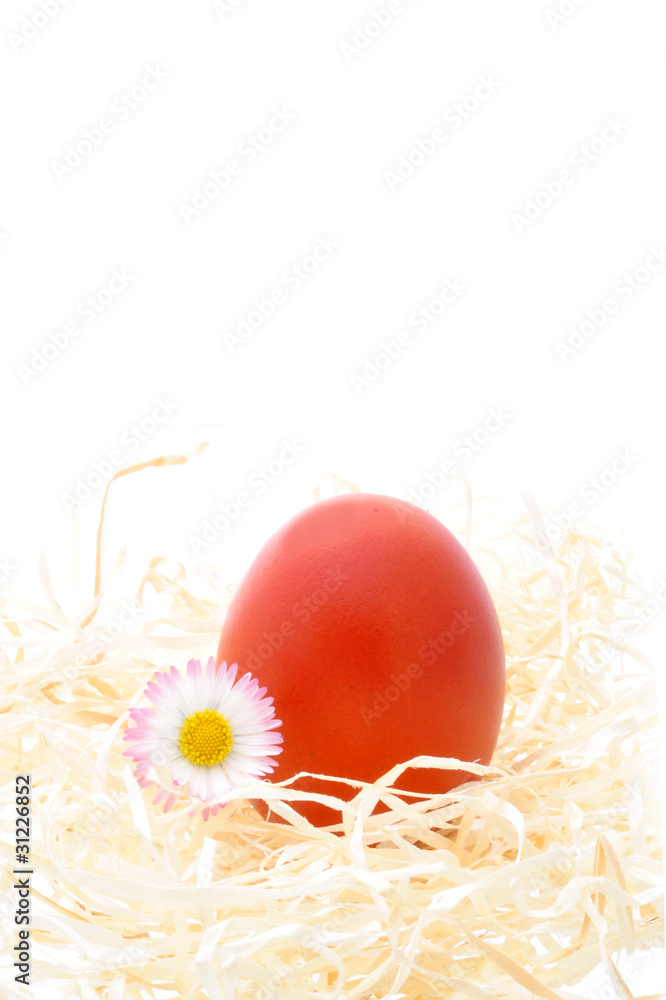 Osterei Stock-Foto | Adobe Stock