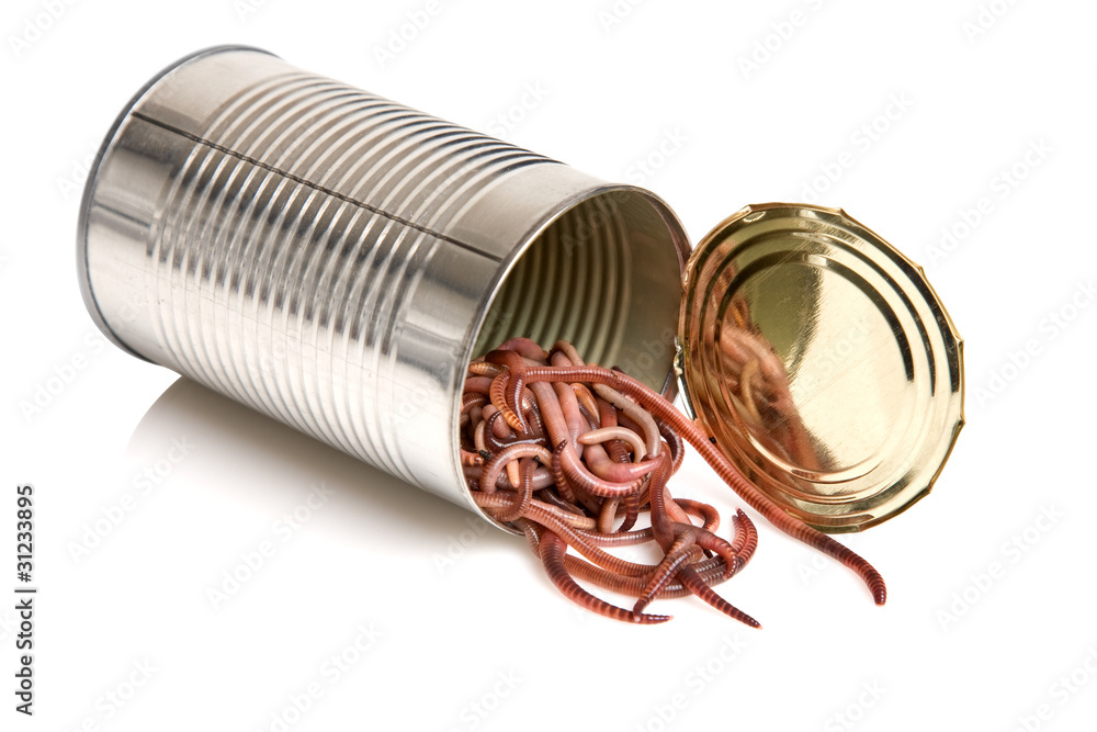 Open can of worms Stock Photo | Adobe Stock