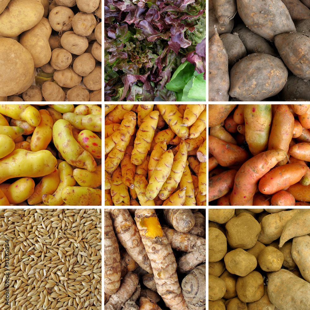 Group of peruvian vegetables foto de Stock | Adobe Stock