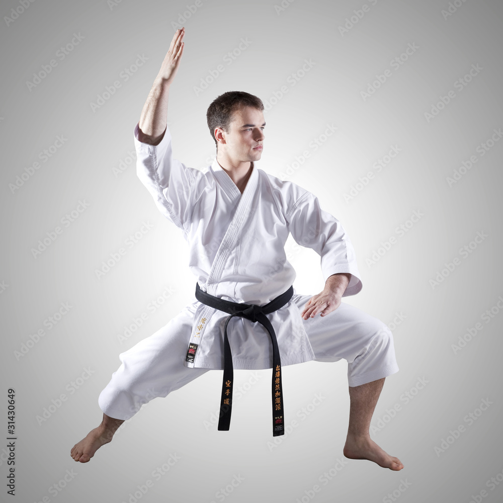 Karateka Stock Photo | Adobe Stock