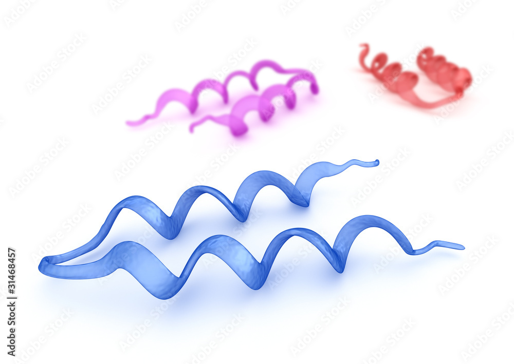 Photo & Art Print Protein 3D model over white, Alex Mit