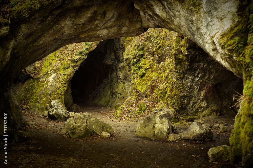 Green deep cave Stock Photo | Adobe Stock