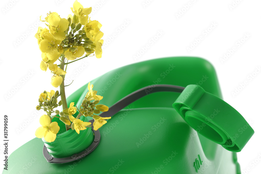 COLZA -Biocarburant Photos | Adobe Stock