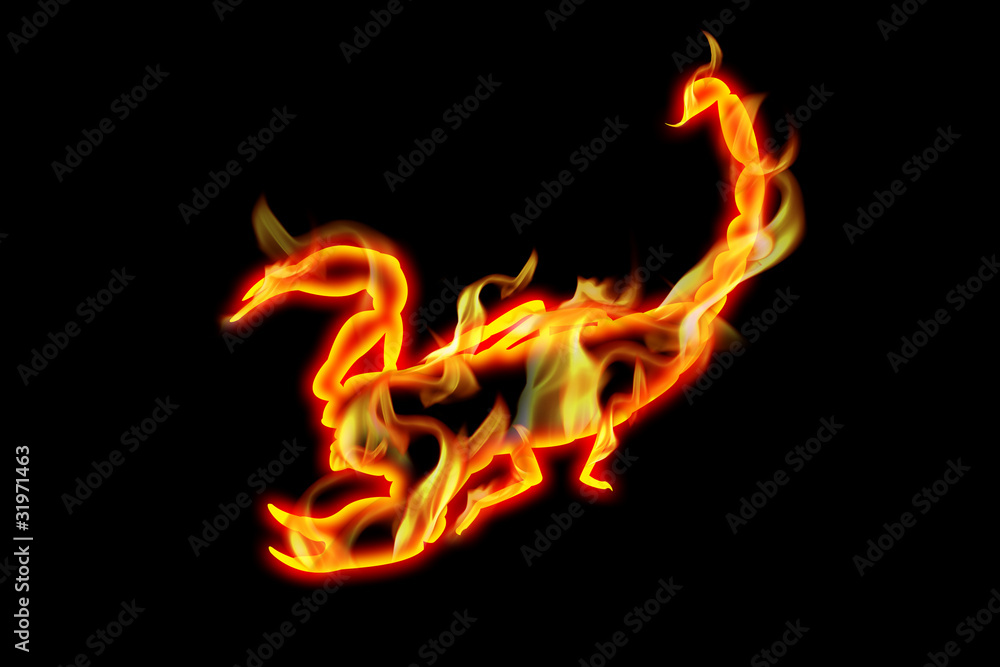 Fire Scorpion