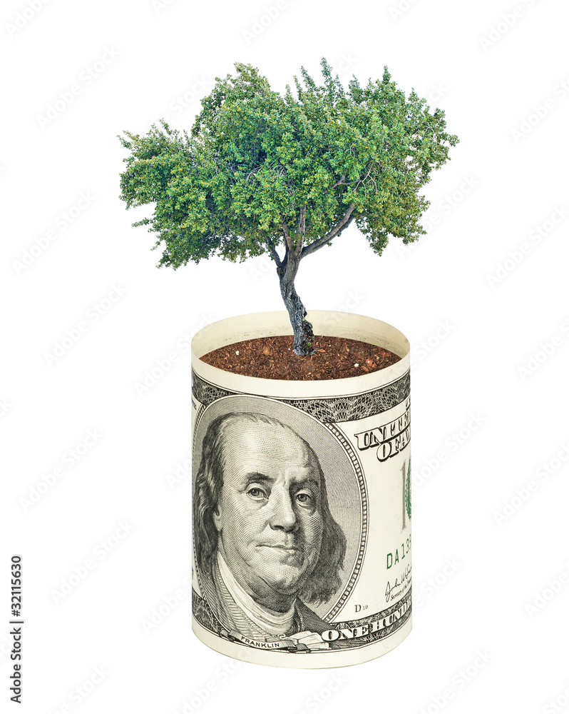 tree growing from dollar bill Stock Photo | Adobe Stock