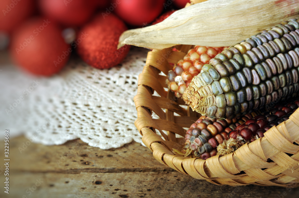 Ear Of Indian Corn