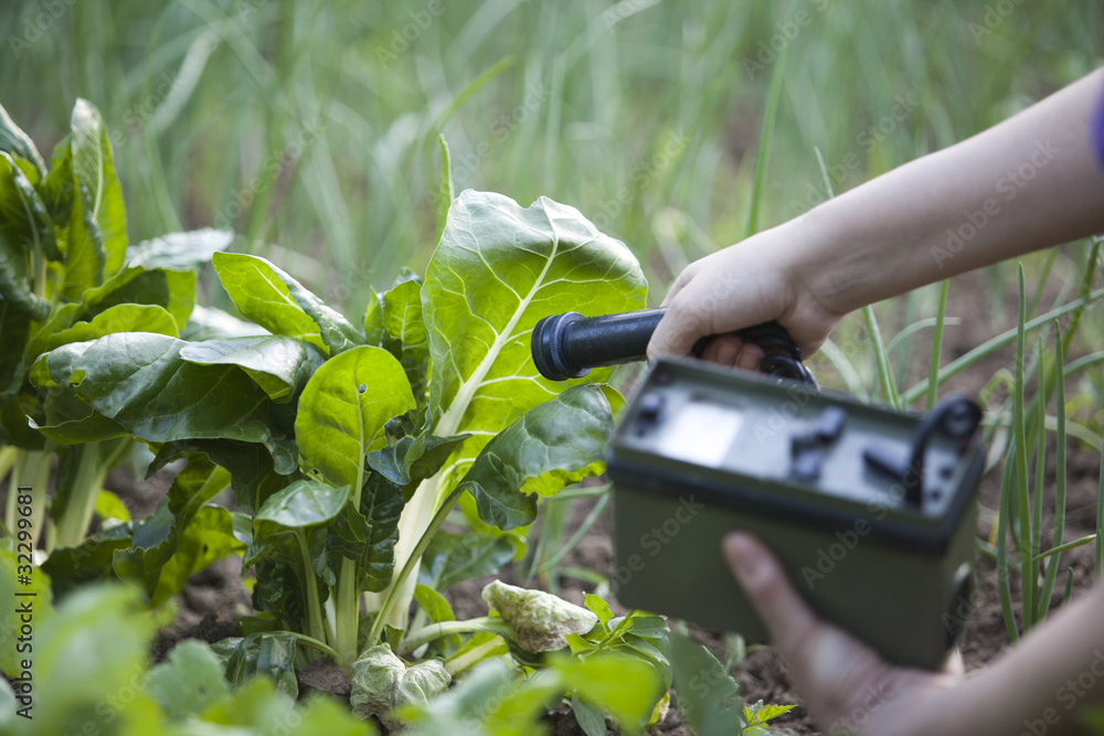 measuring radiation levels of vegetables Stock Photo | Adobe Stock