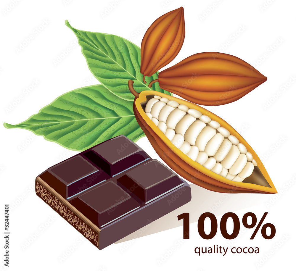 Vector cocoa beans with chocolate bar Stock Vector | Adobe Stock