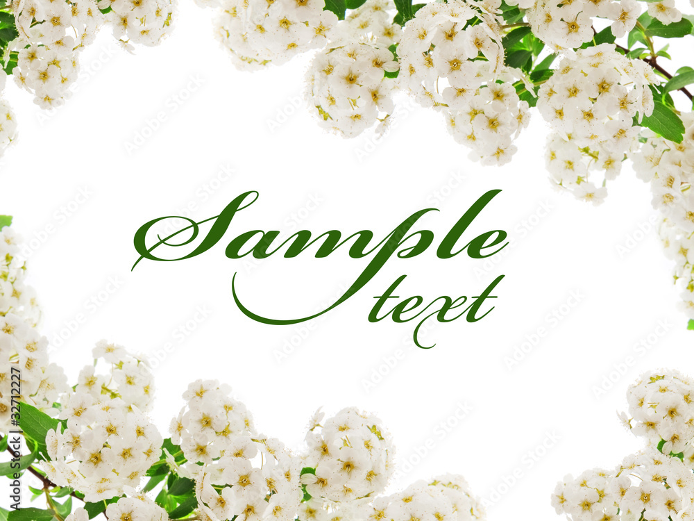 White flower border card isolated on white background Stock Photo ...