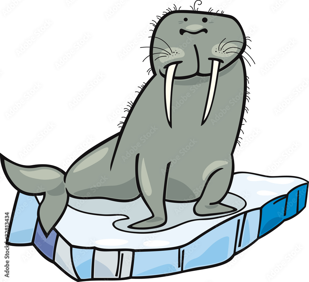 cartoon Walrus on floating ice Stock Vector | Adobe Stock