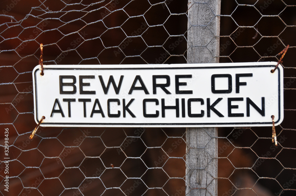 beware of attack chicken Stock Photo | Adobe Stock