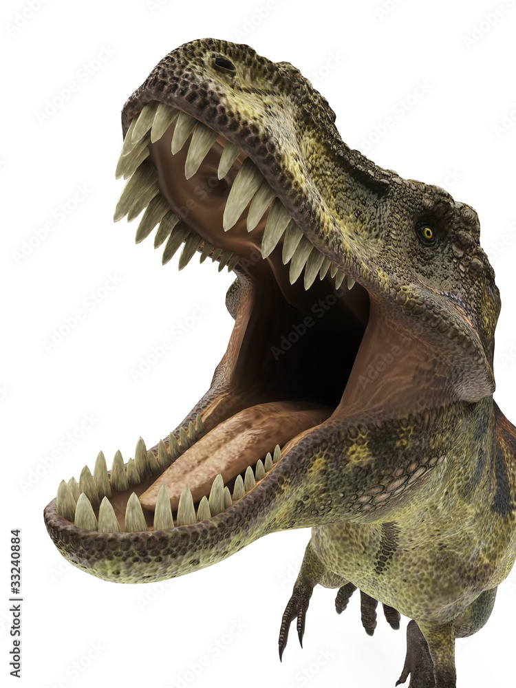tyrannosaurus rex t-rex Stock Illustration | Adobe Stock