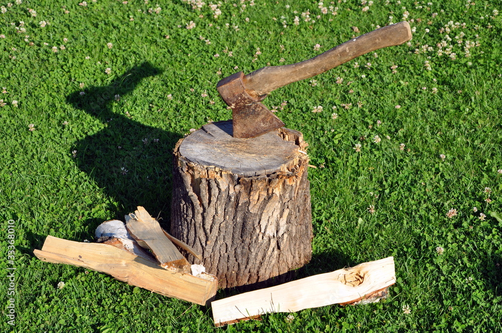 Axe in tree stump Stock Photo | Adobe Stock