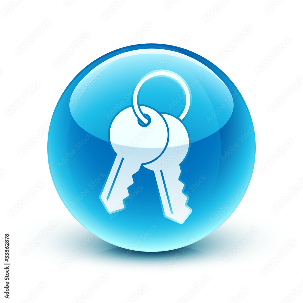 icône clé / key icon Stock Vector | Adobe Stock